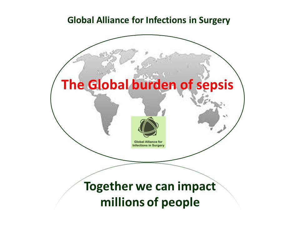The global burden of sepsis – Global Alliance for Infections in Surgery