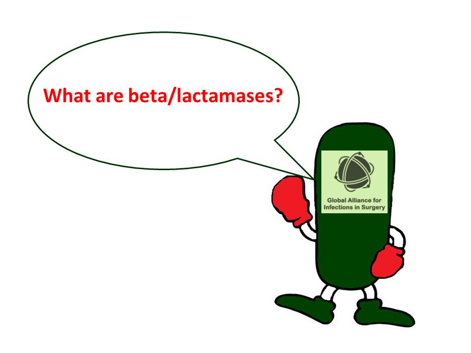 What are beta/lactamases? – Global Alliance for Infections in Surgery