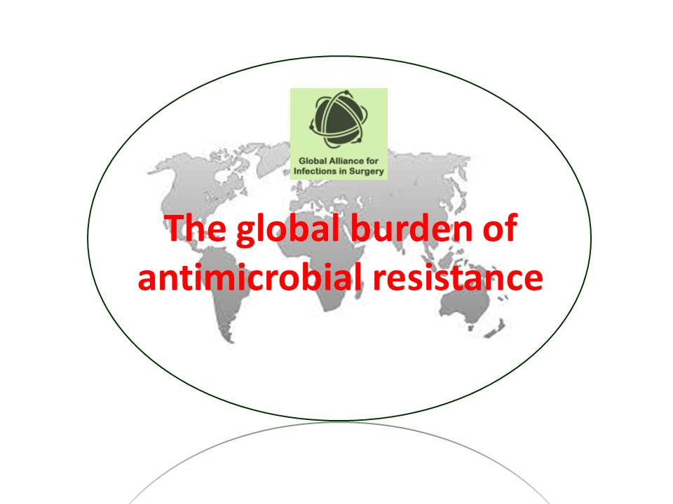 The global burden of antimicrobial resistance – Global Alliance for ...