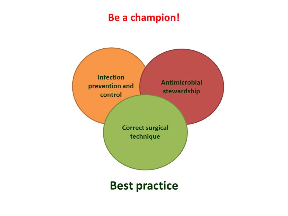 Be a champion! – Global Alliance for Infections in Surgery