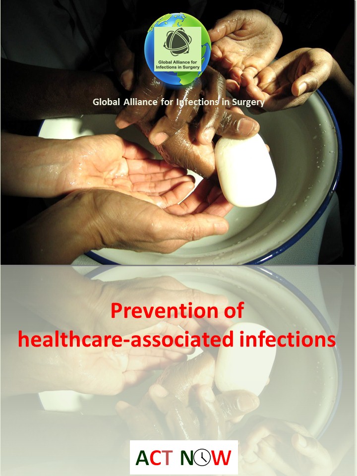 Prevention of healthcare-associated infections – Global Alliance for ...
