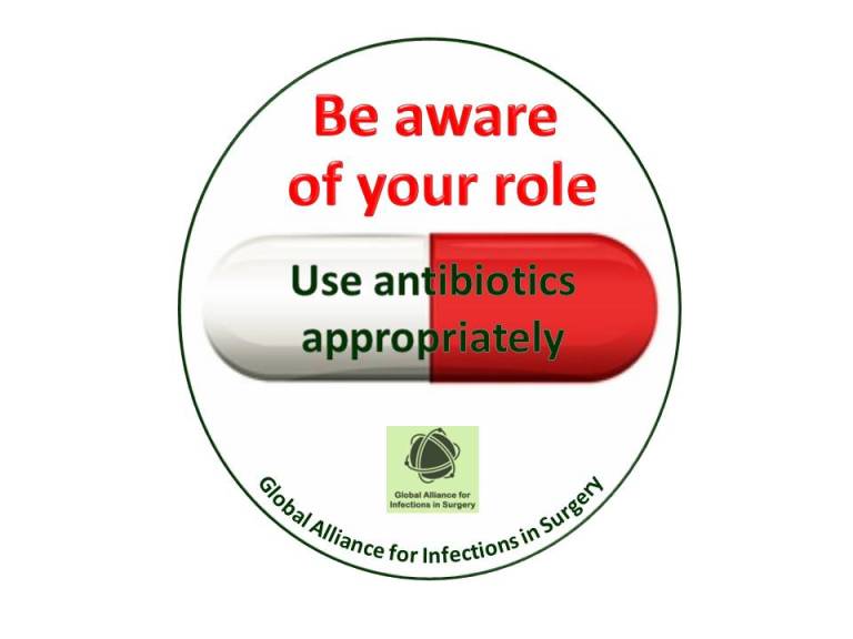Core elements of antibiotic stewardship – Global Alliance for ...