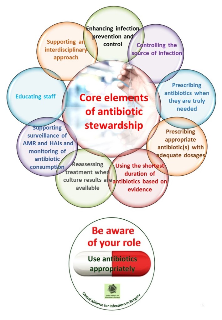 Core elements of antibiotic stewardship – Global Alliance for ...