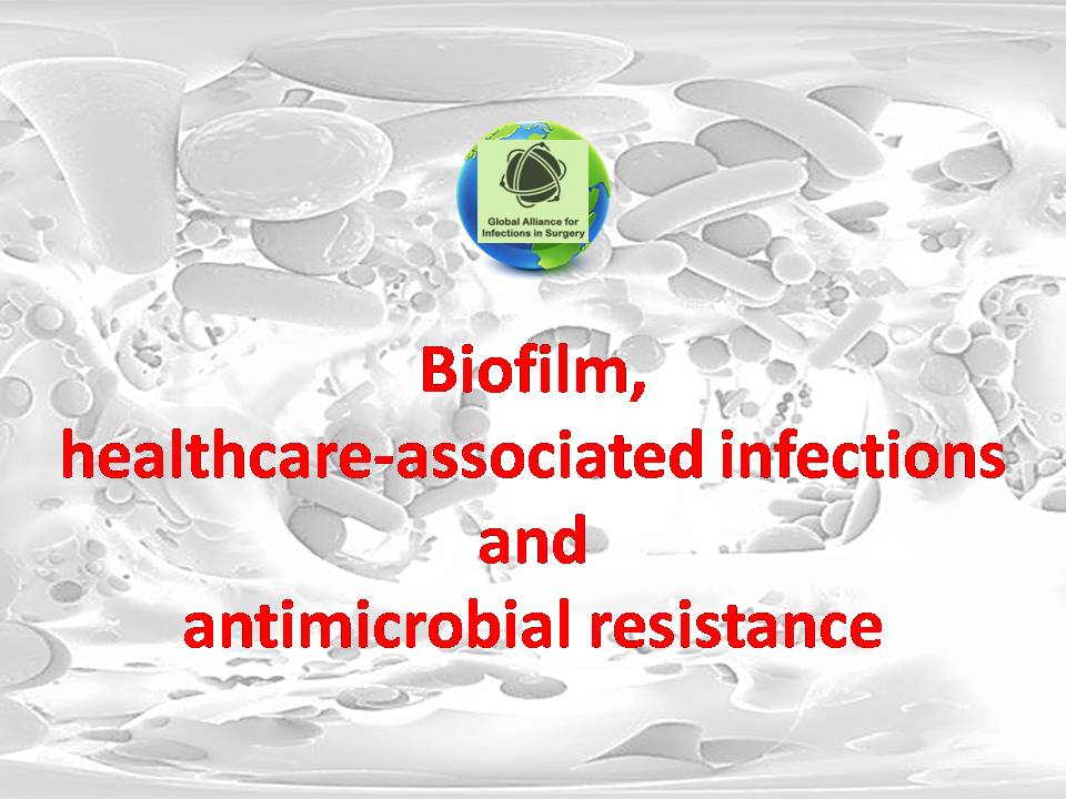 Biofilm, healthcare-associated infections and antimicrobial resistance ...
